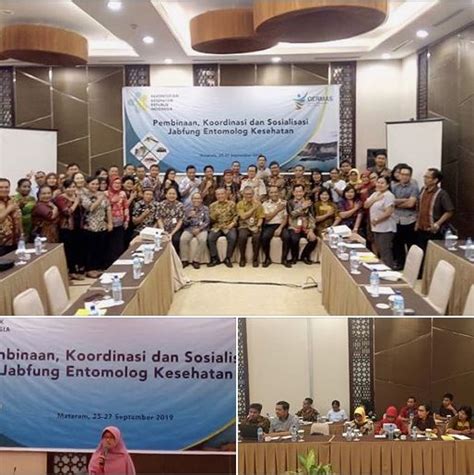 Sosialisasi Jabatan Fungsional Entomolog Kesehatan Bkpsdm