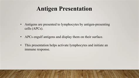 What Is Antigen Presentationpptx Chemistry Ppt Ppt What Is Antigen Presentationpptx Chemistry Ppt Ppt