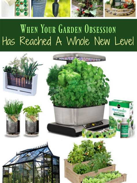 Gardening Tips Archives Moms Need To Know