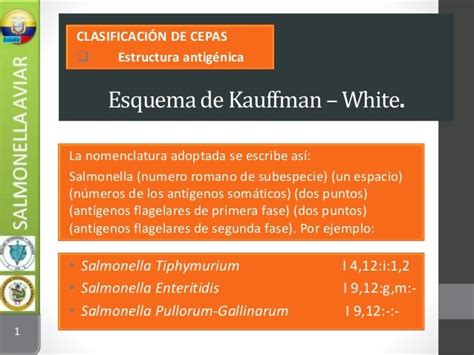 Salmonella Kauffmann White Classification Pdf The Serological