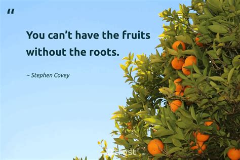 43 Tree Planting Quotes To Inspire You To Grow A Forest