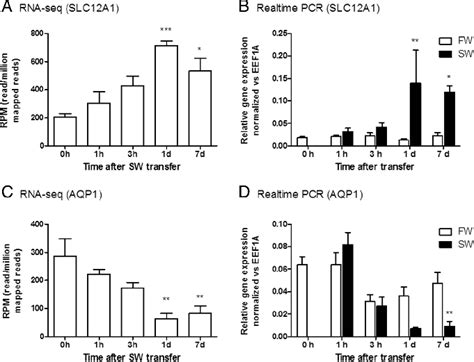 Representative Validation Of Quantitative Transcriptome By Realtime Download Scientific Diagram