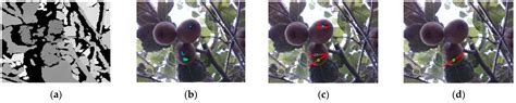 A Method Of Grasping Detection For Kiwifruit Harvesting Robot Based On
