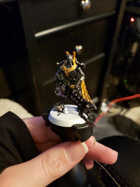 What Do Y All Think Of My Color Scheme I Think This Royal Warden Is My