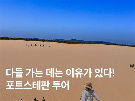 호주 시드니 포트스테판 투어 와이너리 돌고래 크루즈까지 후회 없는 후기