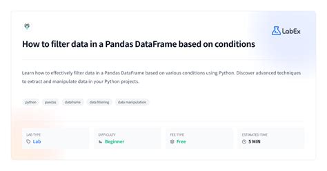 How To Filter Data In A Pandas Dataframe Based On Conditions Labex