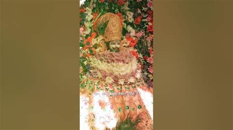 Khatu Shyam Ji♥️खाटू वाले श्याम जी हमारे साथी 🙏🙏प्लीज दोस्तों चैनल