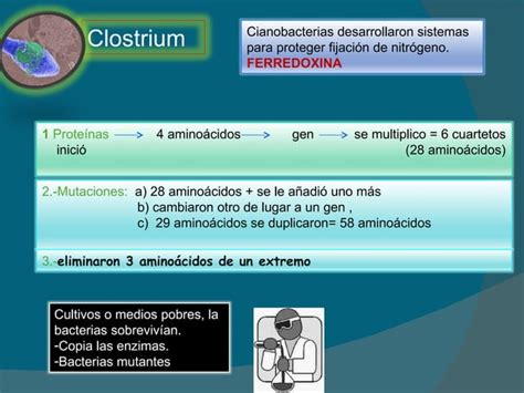 Origen De La Celula Ppt