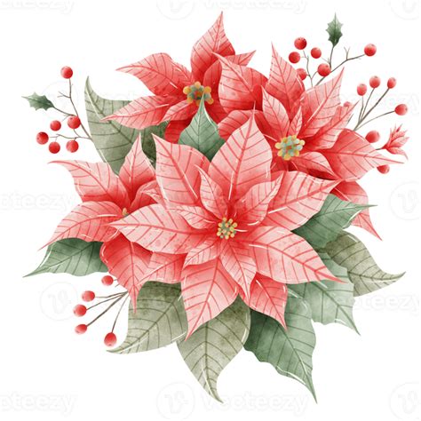 Acuarela Mano Dibujado Ilustración Navidad Composiciones Con Flor De