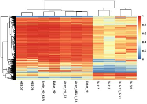 Cg Dmr Analyses Tnt