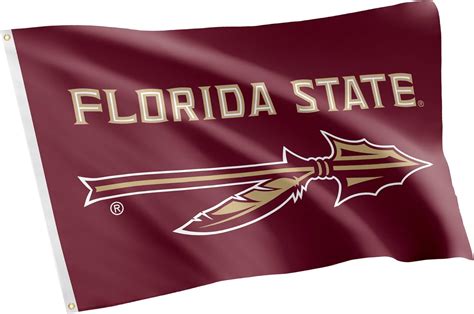 Desert Cactus Florida State University Fsu Flag 3 X 5