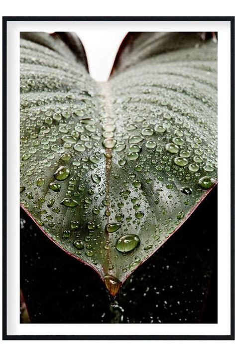 Постеры на стену ботаника Постер тропический лист постеры на стену в скандинавском стиле