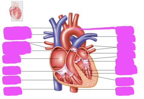 Phys Lab Final Flashcards Quizlet
