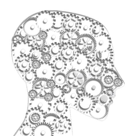 Information Processing Theory Learning Theories