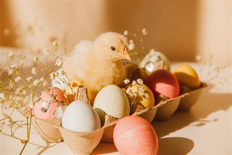 La Tradition De La Fête De Paques En France
