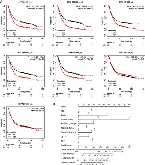 Survival Analysis In The Kaplan Meier Plotter Online Database And