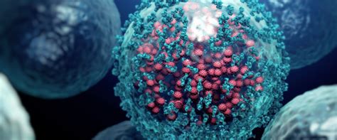 The Mitochondrial Stem Cell Connection Mscc Theory And Protocol