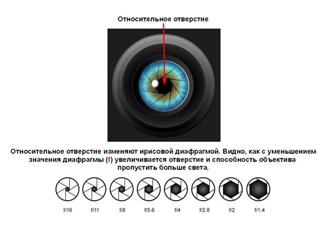 Свойства, рисунок, особенности и характеристики объективов