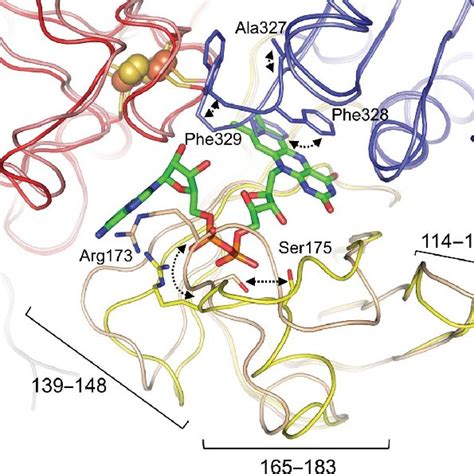 Pdf Crystal Structure Of The Ferredoxin Reductase Component Of Carbazole 1 9a Dioxygenase From