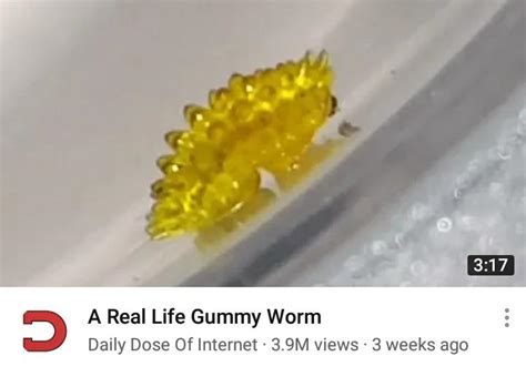 Forbidden Candy Rforbiddensnacks Forbidden Candy Rforbiddensnacks