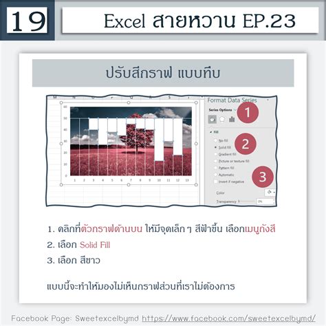 ตัวอย่าง กราฟแท่ง สวย ๆ Ep 23 สร้างกราฟสวยด้วยรูปภาพ Sweet Excel