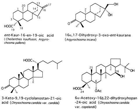 Diterpenes And Triterpenes Found In Fern`waxesafern`waxesa Examples