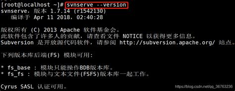 在linux上搭建visualsvn server（svn服务端） visvn csdn博客