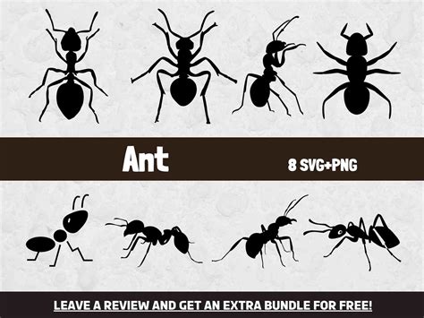 Ant Svg Cut File Ant PNG Ant Vector Insect Svg Ant Etsy