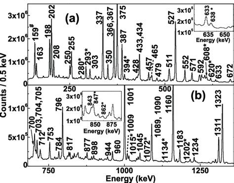 Total Projection Of The E γ E γ Matrix As Obtained In The Present