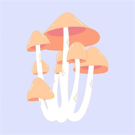 Vector Hand Drawn Mushroom Illustration 27463895 Vector Art At Vecteezy
