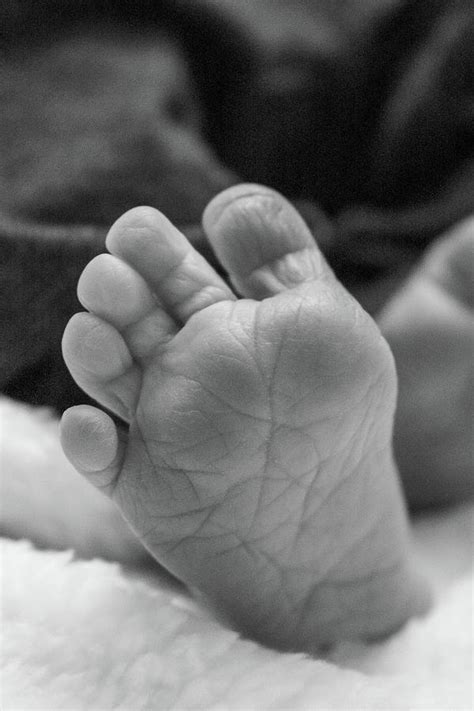Tiny Toes Photograph By Jennifer Lundquist Fine Art America