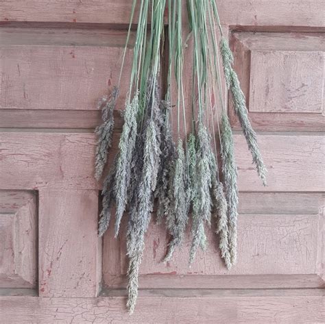 Dried Florals Field Grasses Farm Fresh Seasonal Flowers And Ts