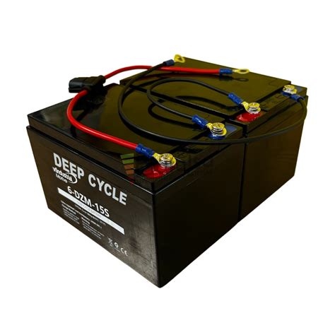 Baterías Silla Movilidad Voltios Amperios Ciclo Profundo DZM con cables Batelsa
