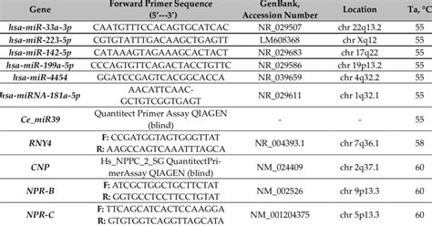 Mature Mirna Sequence And Gene Oligonucleotides Download Scientific