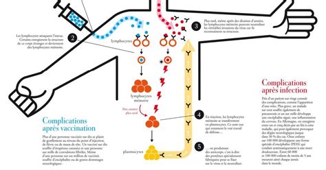 Infographie Rougeole Pourquoi Faut Il Vacciner En Masse