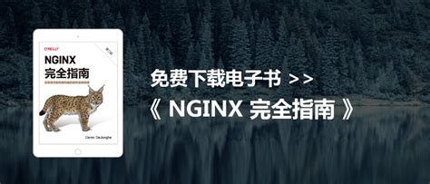 全球首发 《nginx 完全指南》中文版 个人文章 Segmentfault 思否