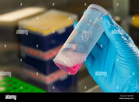 Lab Container Hi Res Stock Photography And Images Alamy