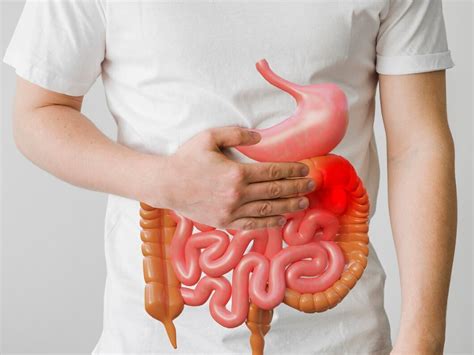 The Gut Health Guide How To Identify Problems And Improve Your Digestion