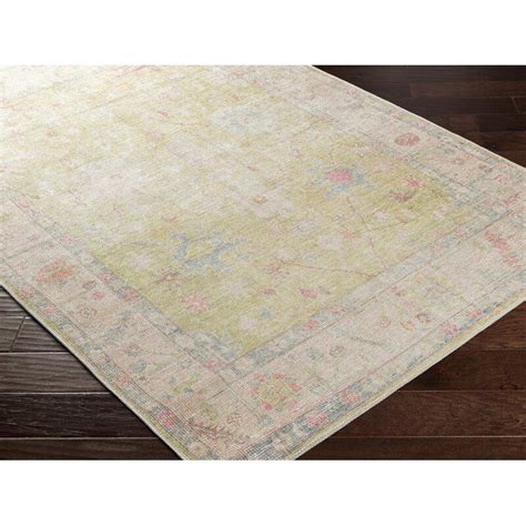 Dietrick Machine Washable Oriental Grass Green Light Pink Area Rug