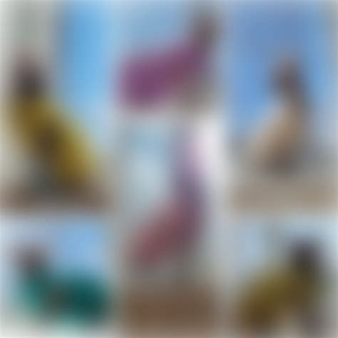 Одежда для котов сфинксов собак мелких пород Ручная работа состав шерсть акрил Одежда для