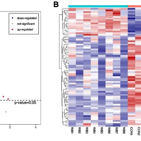 a volcano plot of serum metabolites each point represents a
