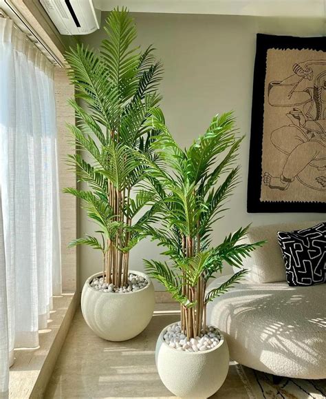 Best 13 Las Mejores Palmeras De Interior Para Que Tu Casa Se Vea Lujosa