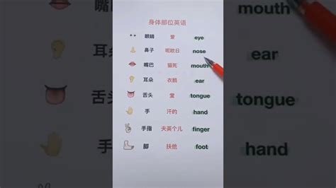 身体部位英文单词 Youtube