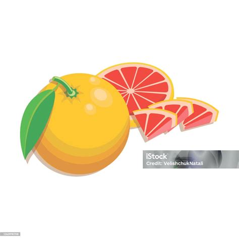 Buah Jeruk Bali Vektor Mengiris Jeruk Yang Tersegmentasi Jeruk Poster Lambang Ilustrasi