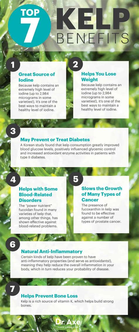 Kelp Top 7 Kelp Benefits And Kelp Recipes Dr Axe