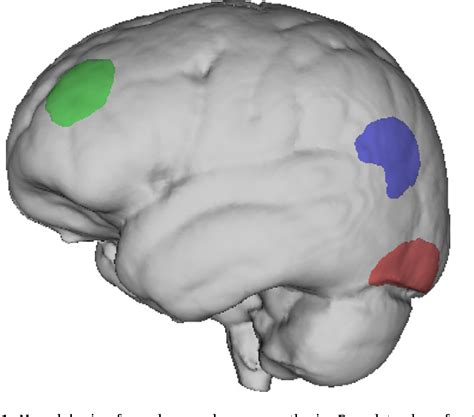 Figure 1 From Neuroscience And Biobehavioral Reviews Semantic Scholar