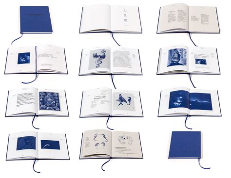 Christine Jungo Portfolio