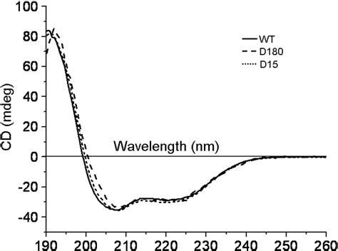 Far UV CD Spectroscopy Of Ocr And Chemically Modified Ocr D Series Download Scientific