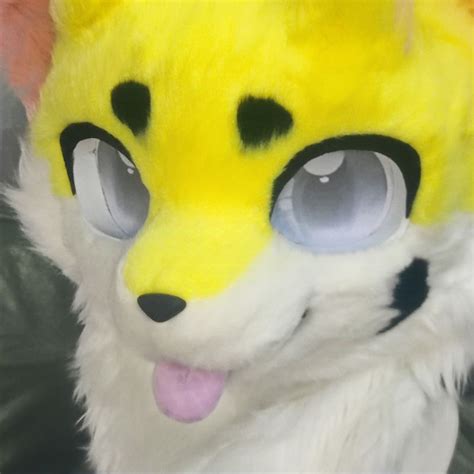 Cat Kemono Fursuit Etsy