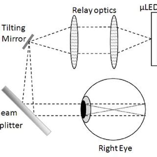 Optogenetic stimulator using µLED array Download Scientific Diagram
